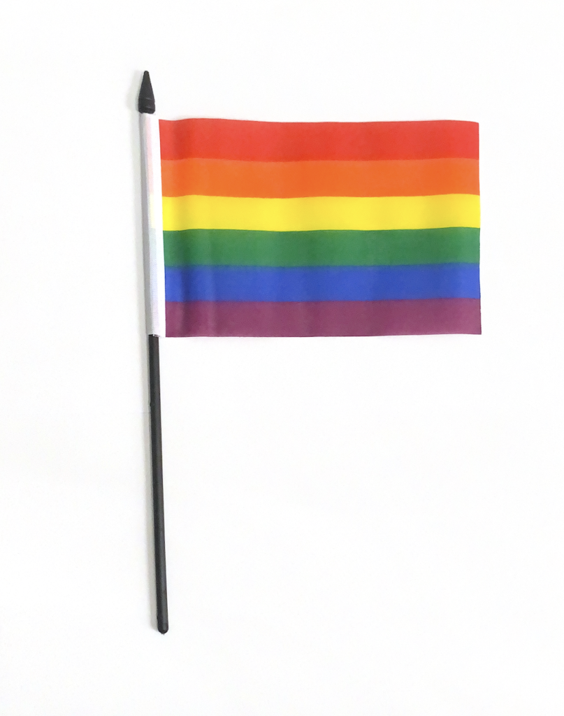 Handfáni, Pride, 10x15cm - Partýbúðin